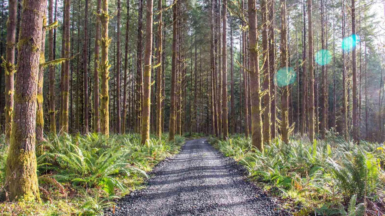 Oregon Forest Industries Council - OFIC