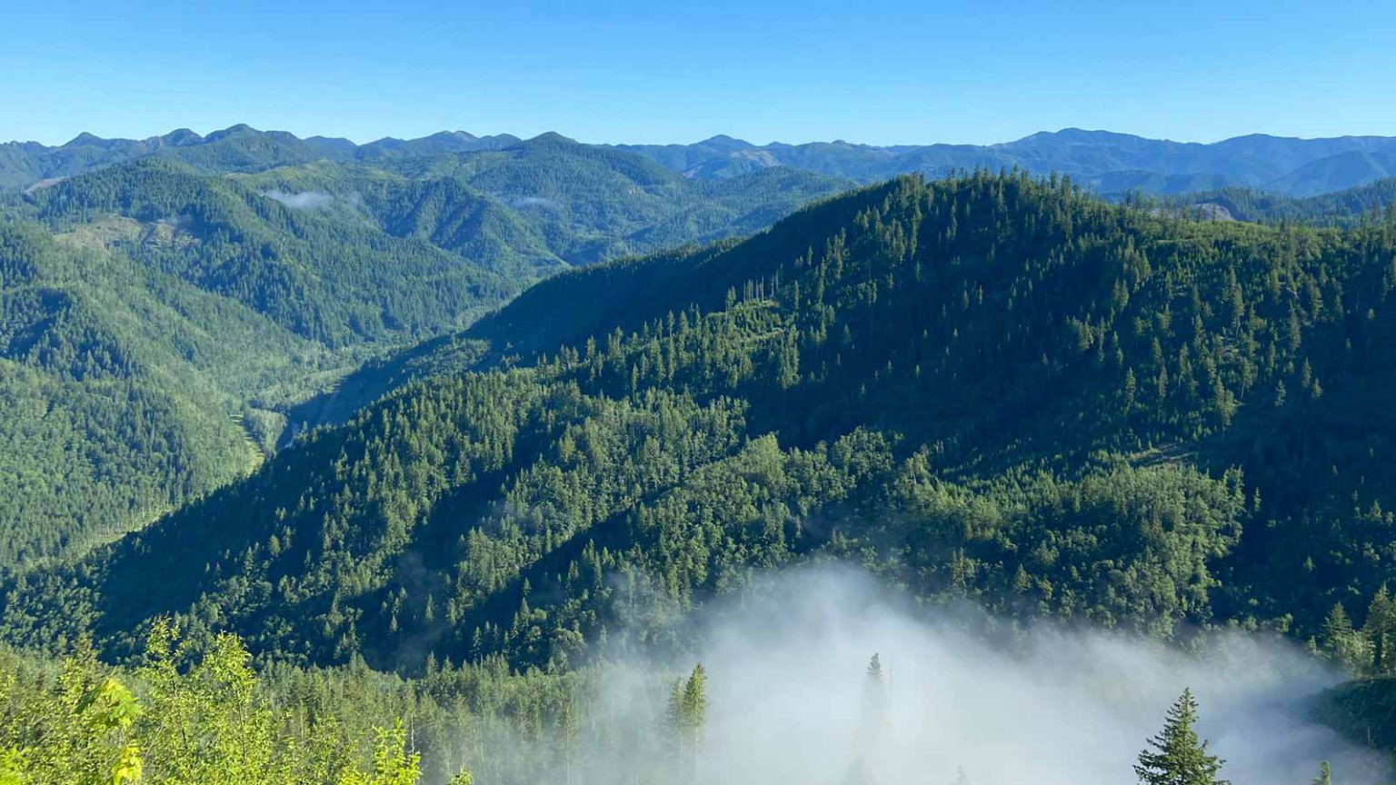 Oregon Forest Industries Council - OFIC
